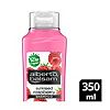 Alberto Balsam Shampoo Raspberry 350ml- Boots