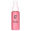 17. Dewy Prep Setting Spray - Boots